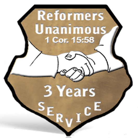 Service Award Pin – 3 Years – RU Recovery