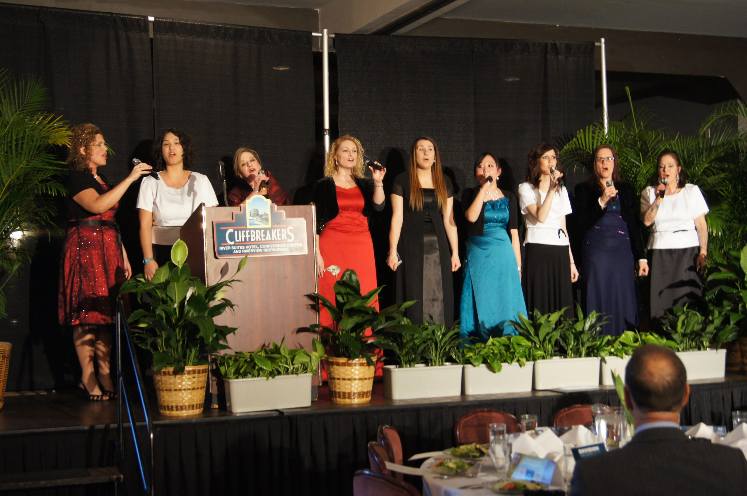 SONY DSC – RU Recovery