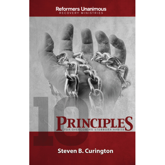 Ten Principles Booklet RU Recovery ten-principles-booklet-ru-recovery